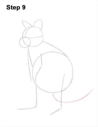 How to Draw a Wallaby VIDEO & Step-by-Step Pictures
