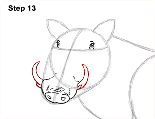 How to Draw a Warthog VIDEO & Step-by-Step Pictures