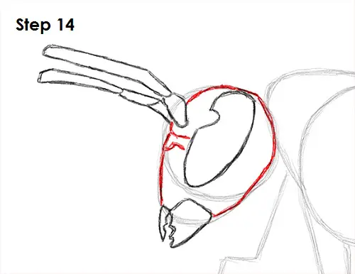 How to Draw a Wasp