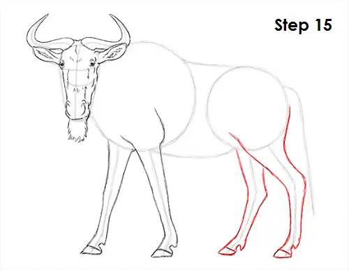 How to Draw a Wildebeest