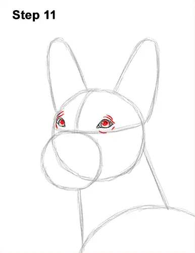 How to Draw a Dog (Xolo) VIDEO & Step-by-Step Pictures