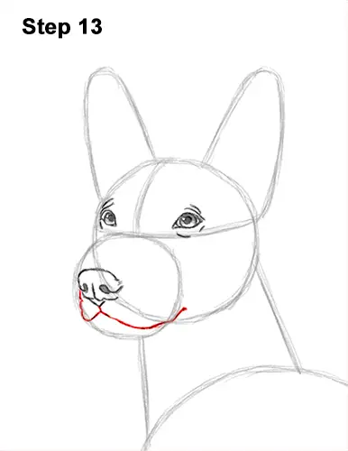 How to Draw a Dog (Xolo) VIDEO & Step-by-Step Pictures